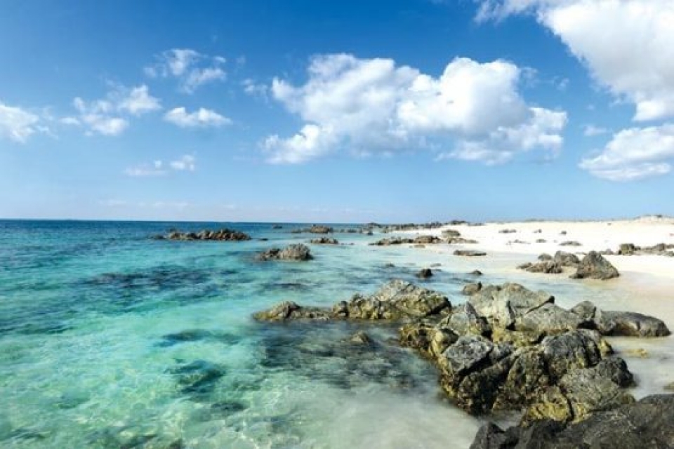 Oman Expedition Viaggio Avventura in Oman - OmanExpert